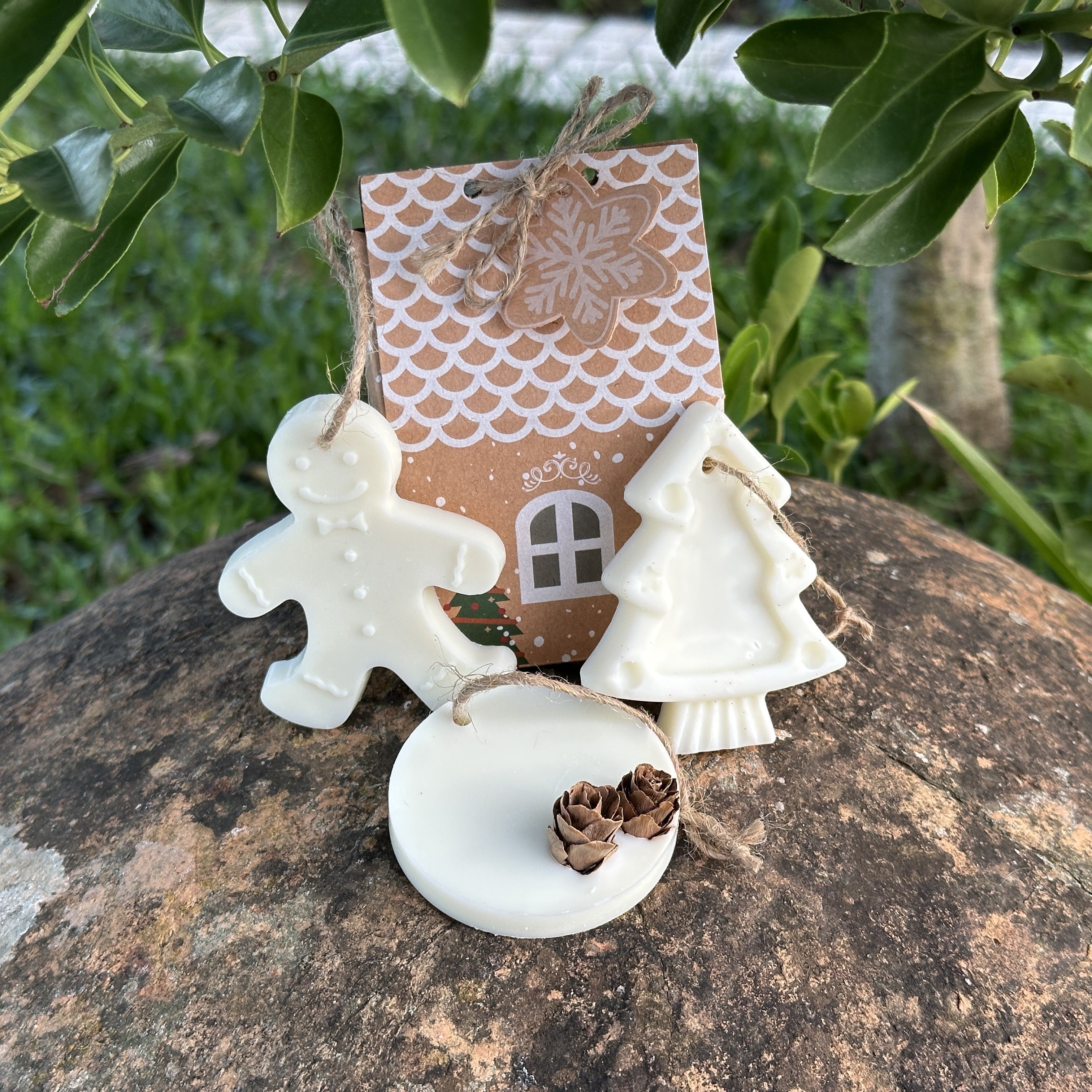 Kit “Aromas de Natal” – Greenify.pt